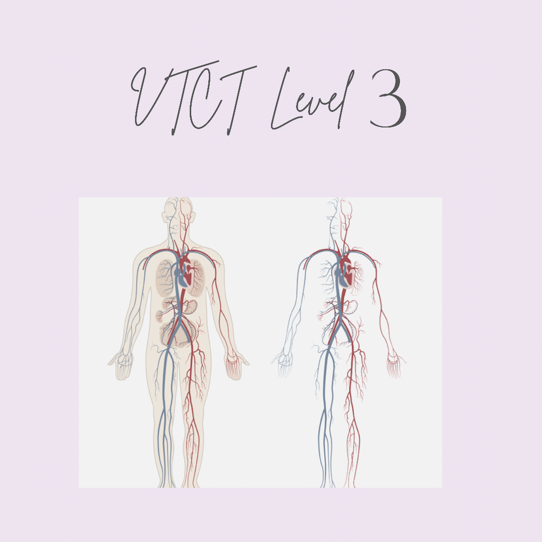 VTCT Level 3 Anatomy & Physiology (from £200) – The PMU Circle Shop